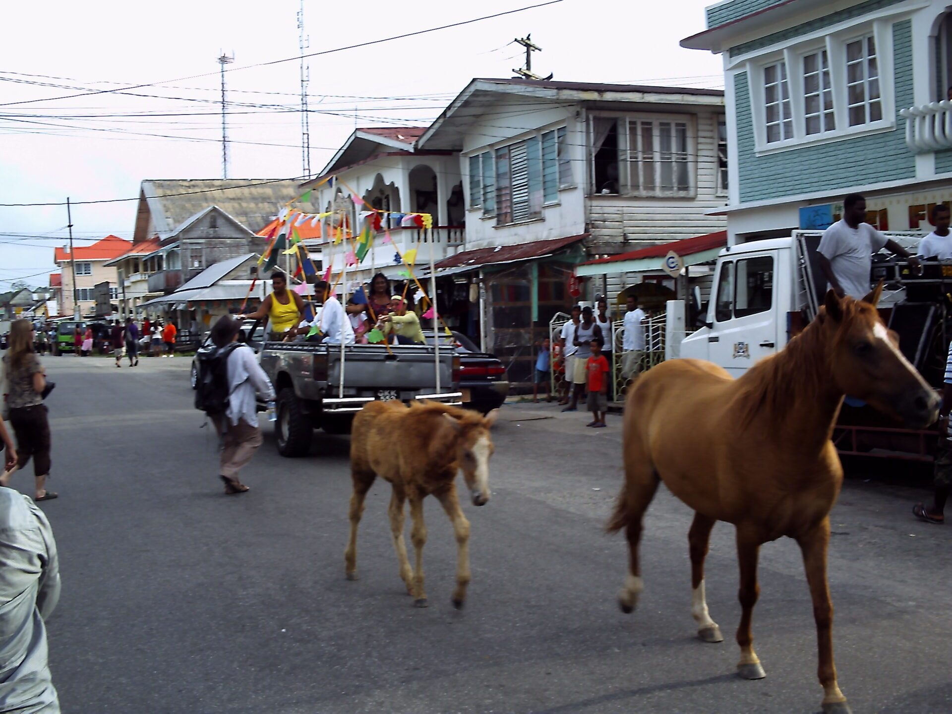 Guyana Eco-Tourism Guide | Andean Trails