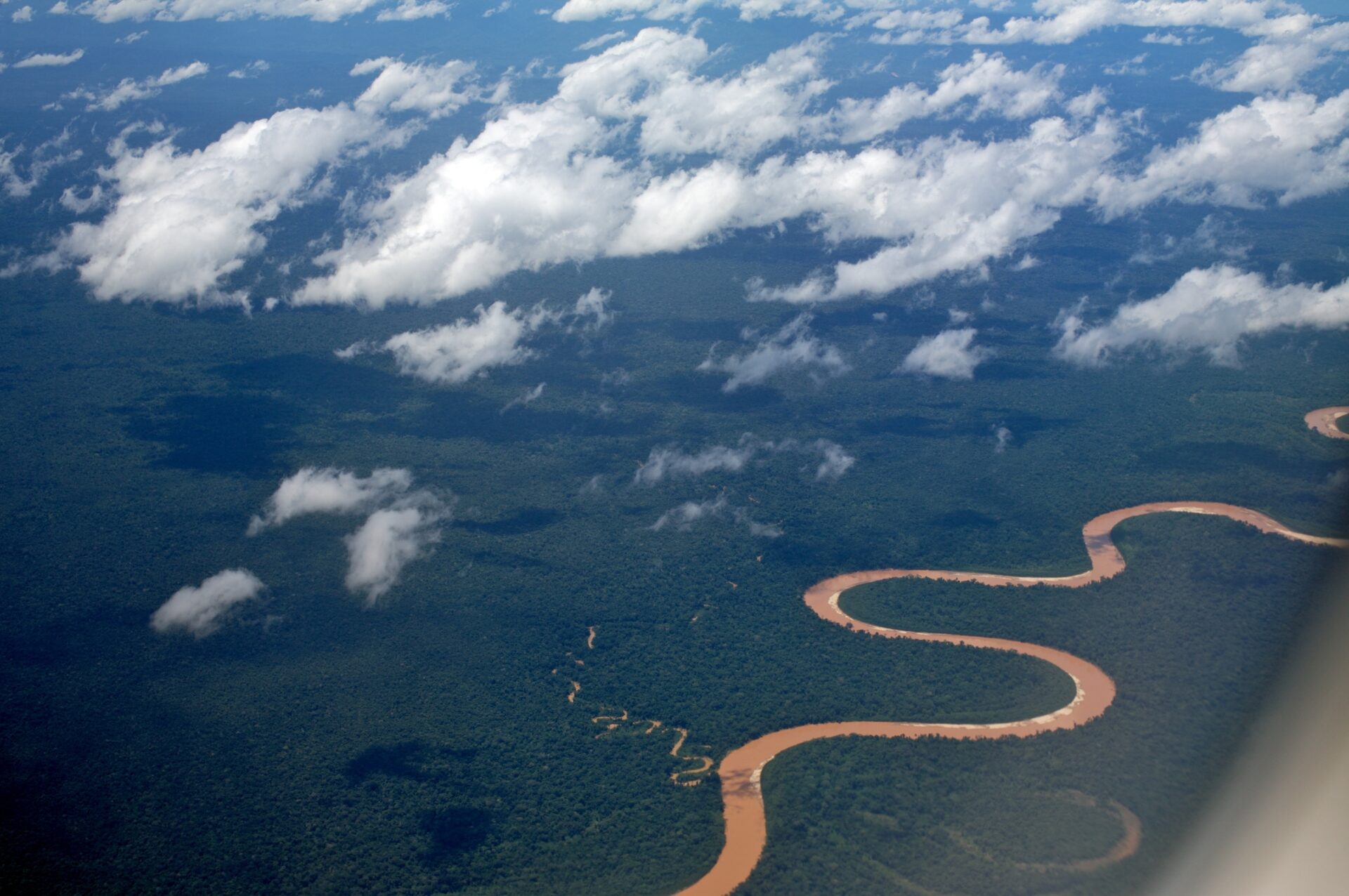 Peru Amazon Rainforest Travel & Lodge Guide | Andean Trails