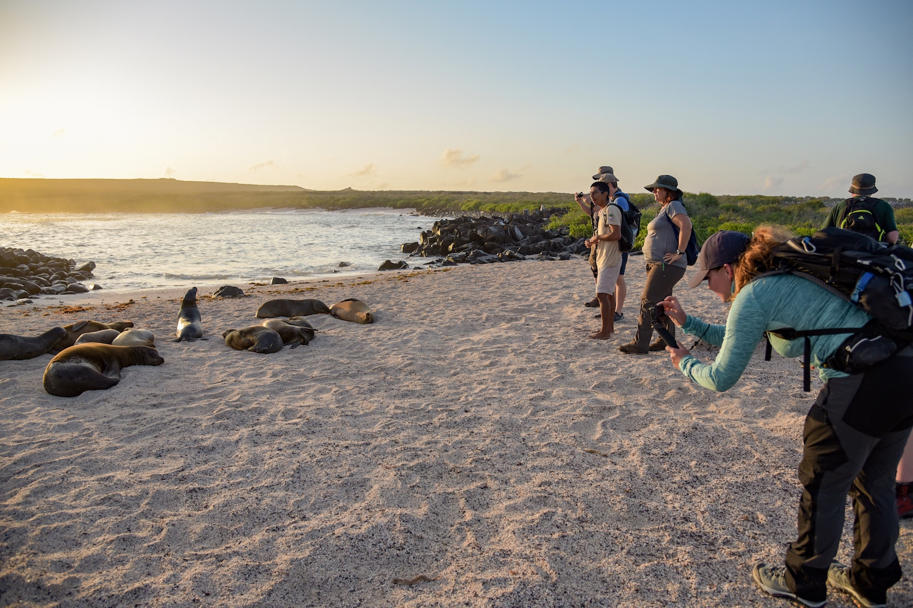 Travelling To and Around the Galapagos Islands - Andean Trails