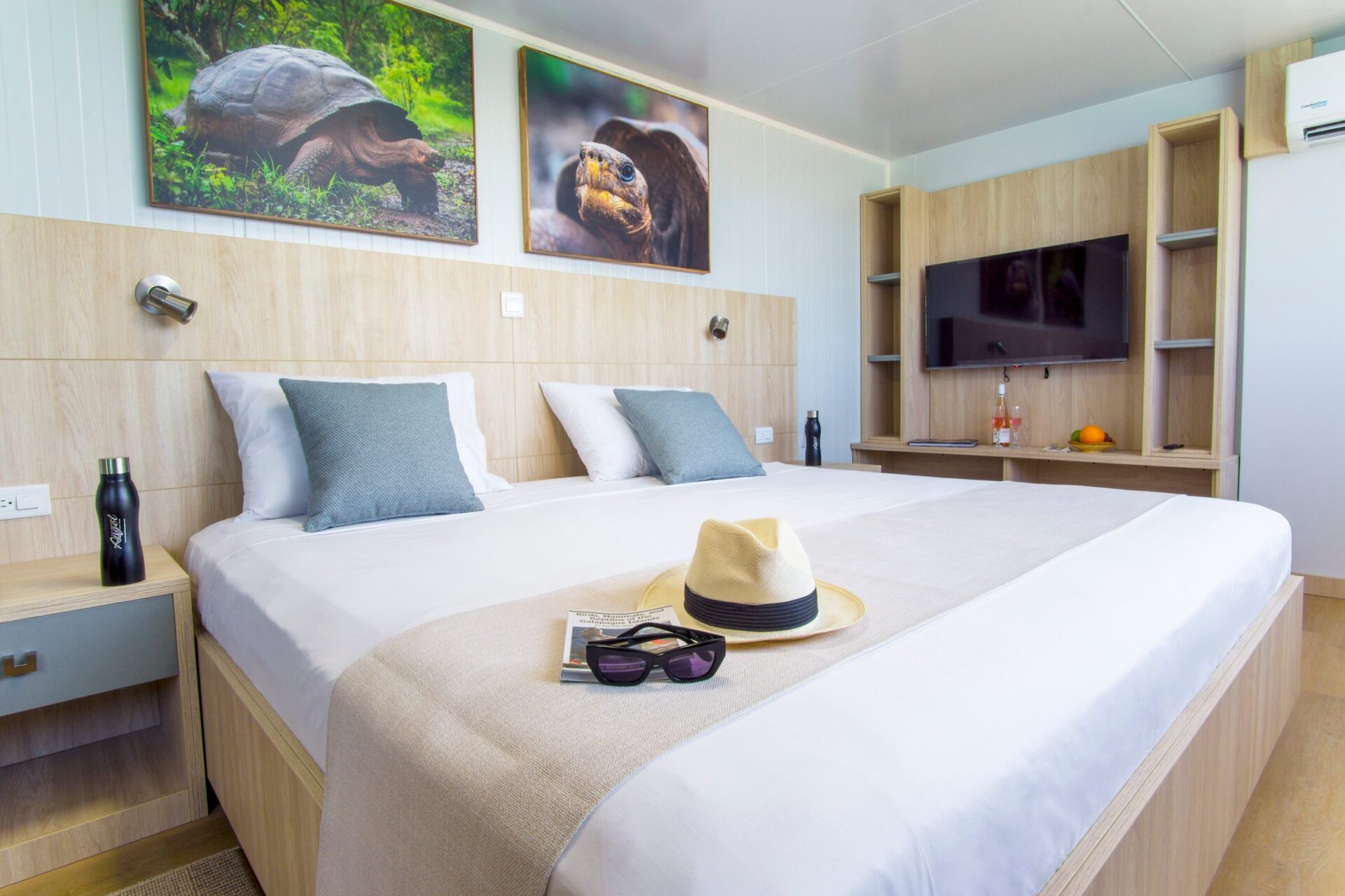 Galapagos Angel First Class Boat | Andean Trails