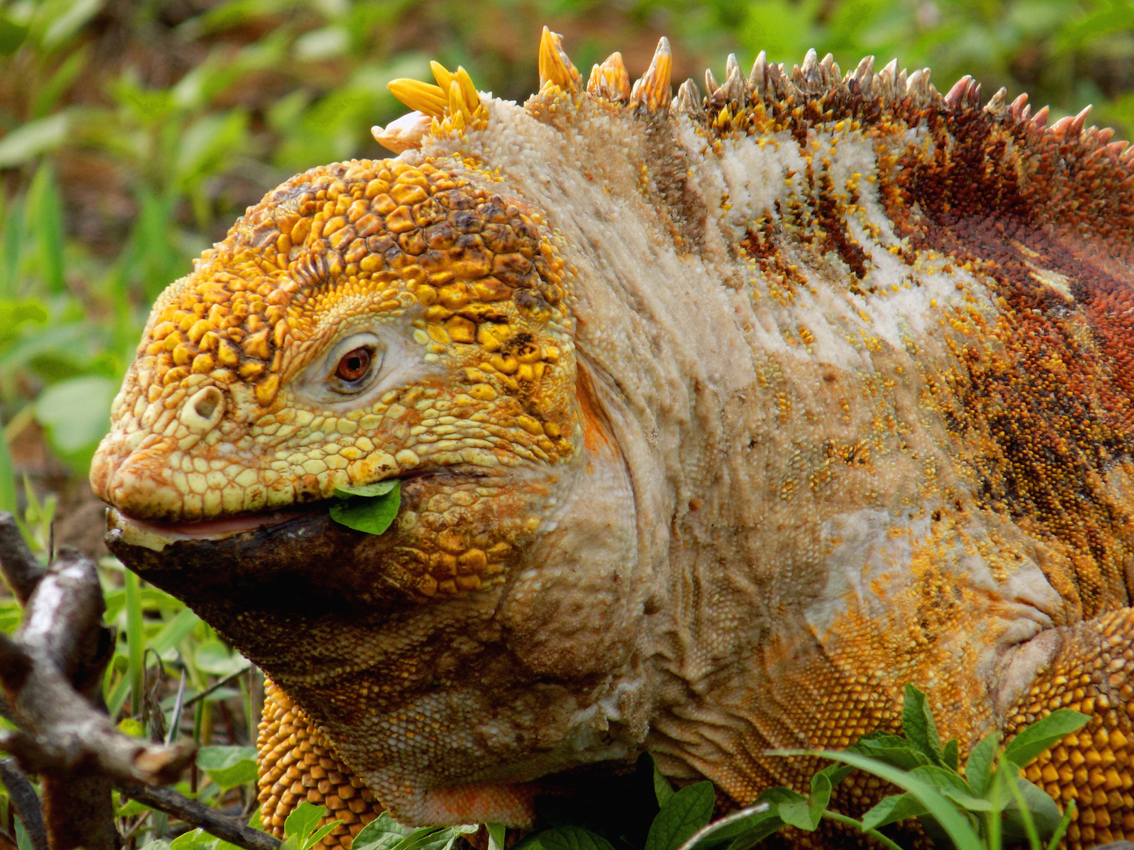 Ecotourism on your Galapagos Adventure Holiday | Andean Trails