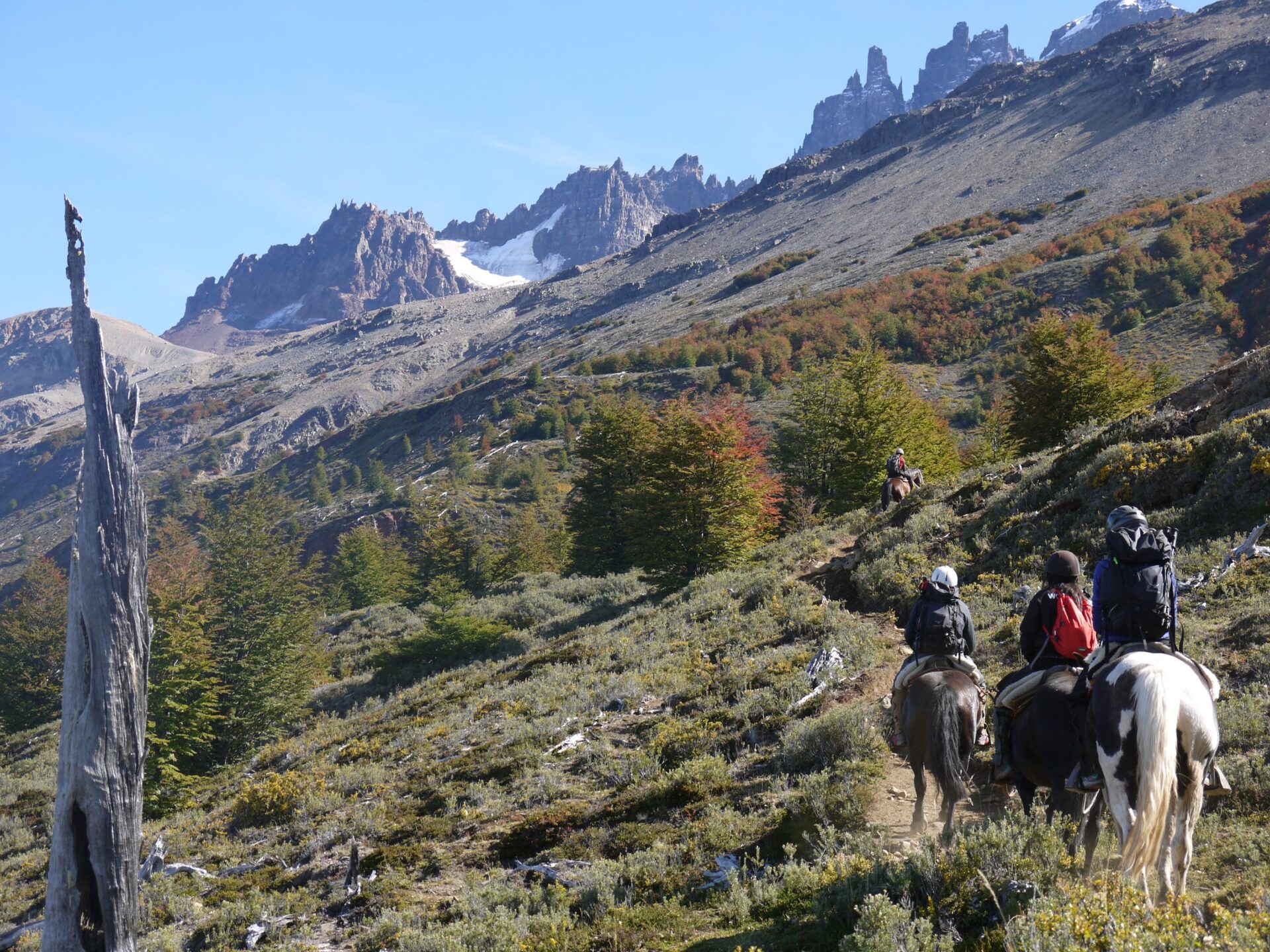 Horseback Riding Chile | Horse Riding Day Tours | Andean Trails