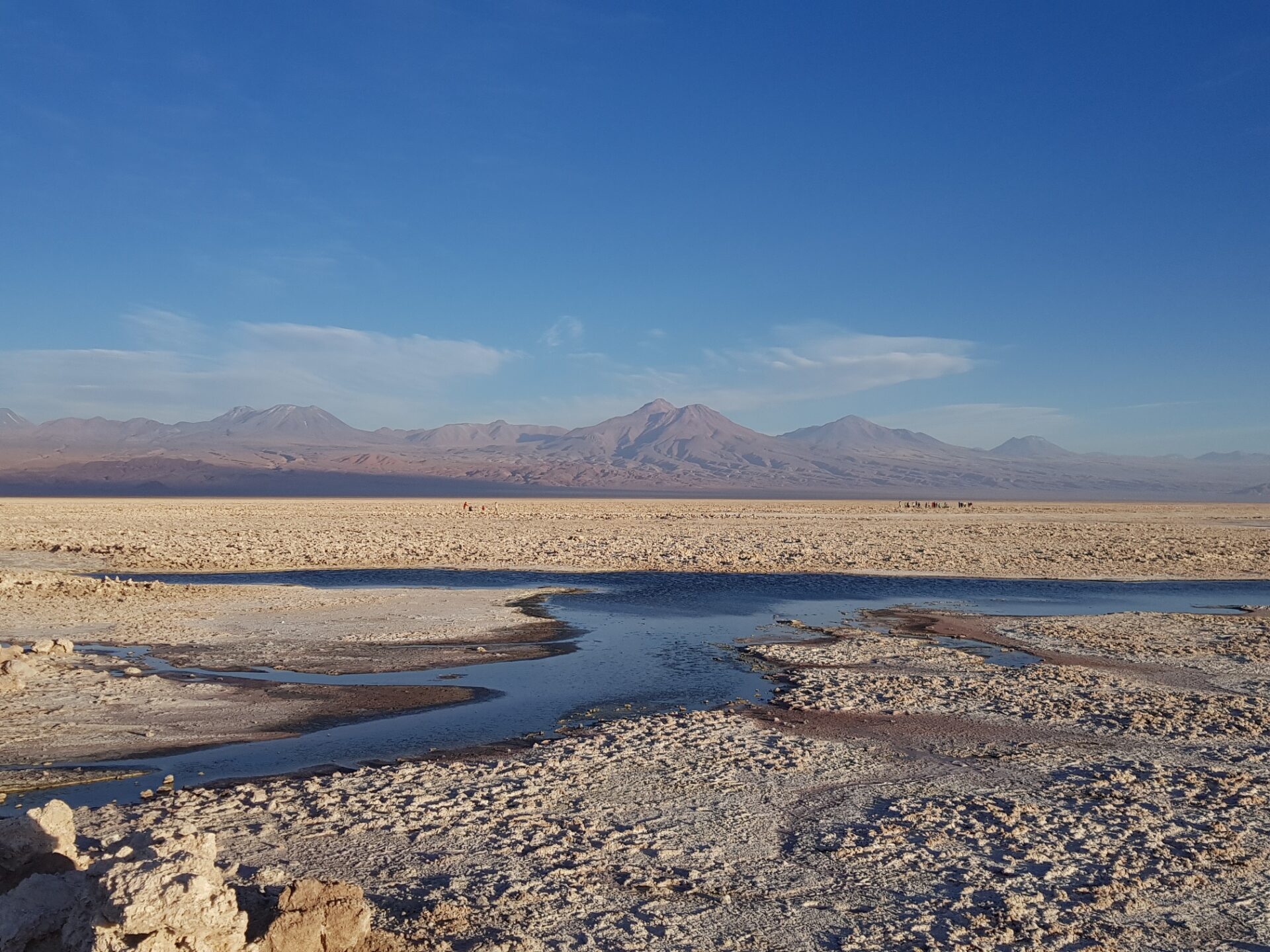 Best Tours in San Pedro de Atacama | Andean Trails