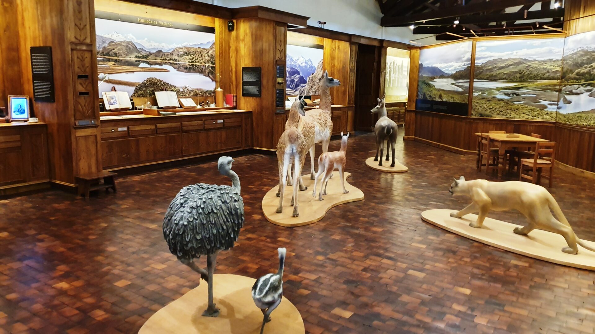 What is Patagonia Park | Andean Trails