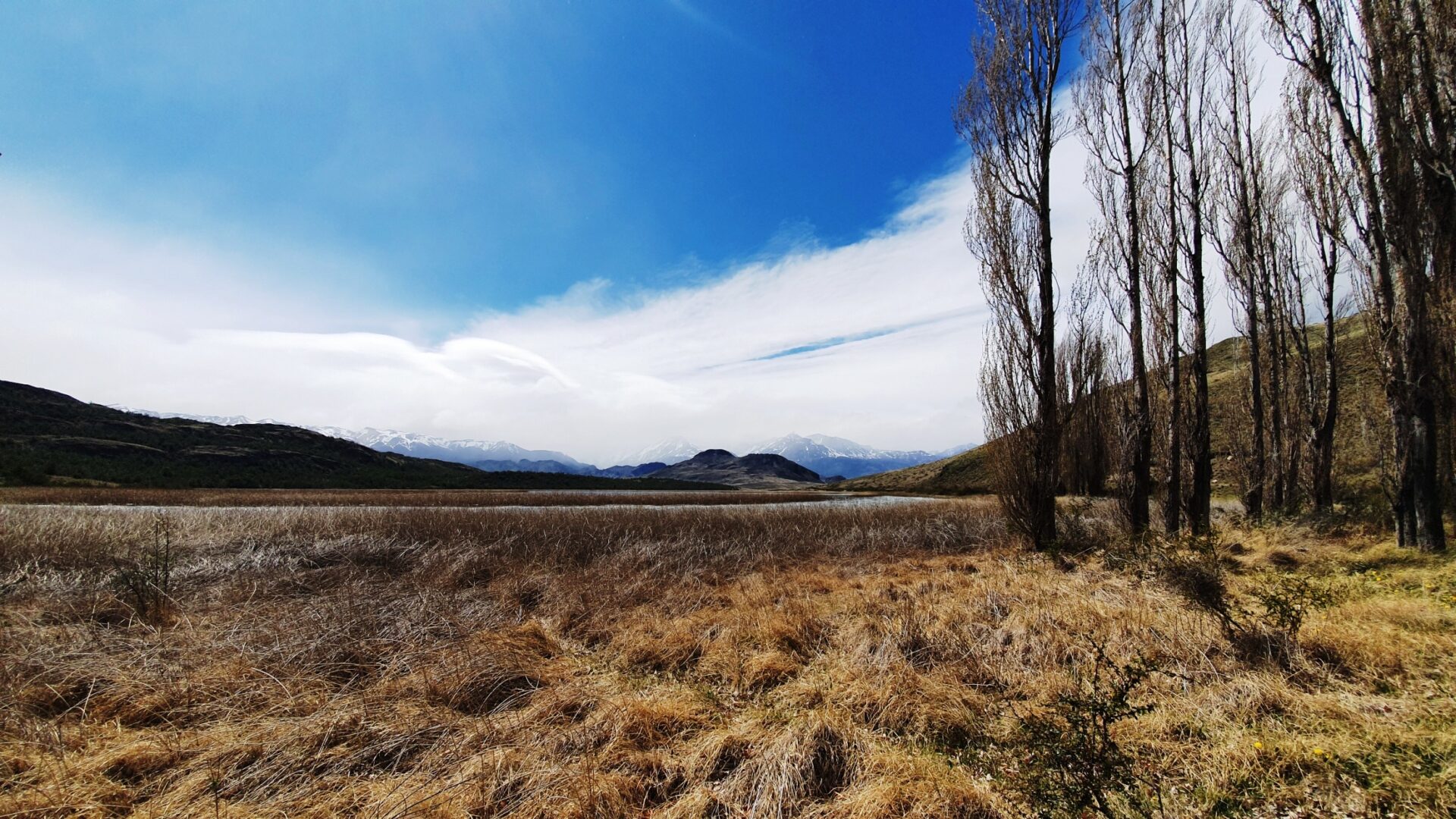 What is Patagonia Park | Andean Trails