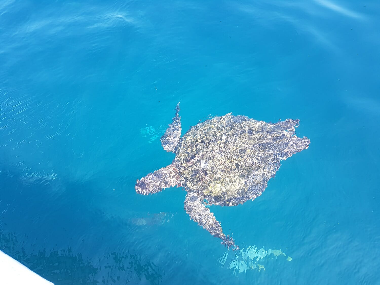 Ecuador: Part II of Alan's tales from Ecuador