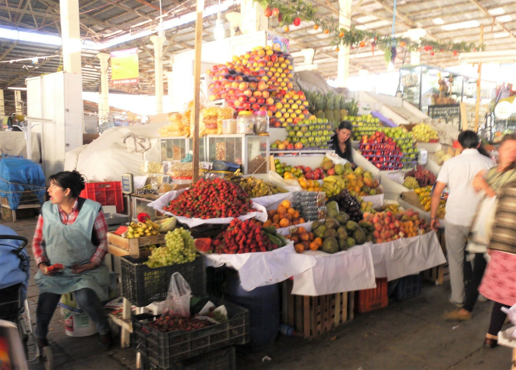 Conscientious Travel in Peru: An Eco-Tourism Guide | Andean Trails