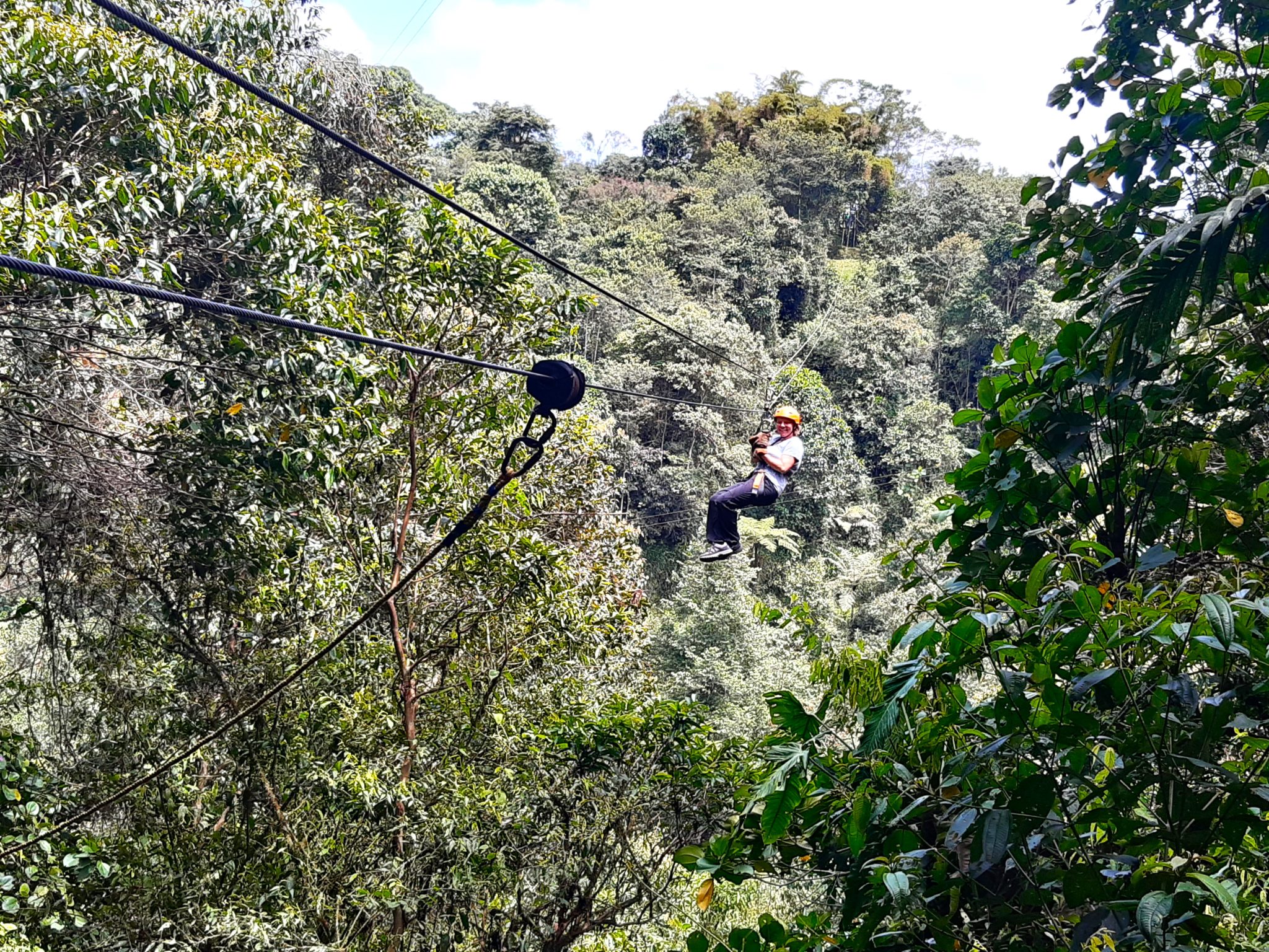 Mindo Cloud Forest Tour Review, Ecuador | Andean Trails
